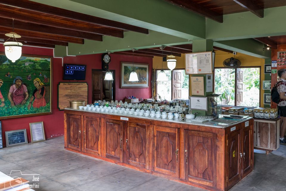 Handunugoda tea factory, Sri Lanka - Jose Maria Piasentini