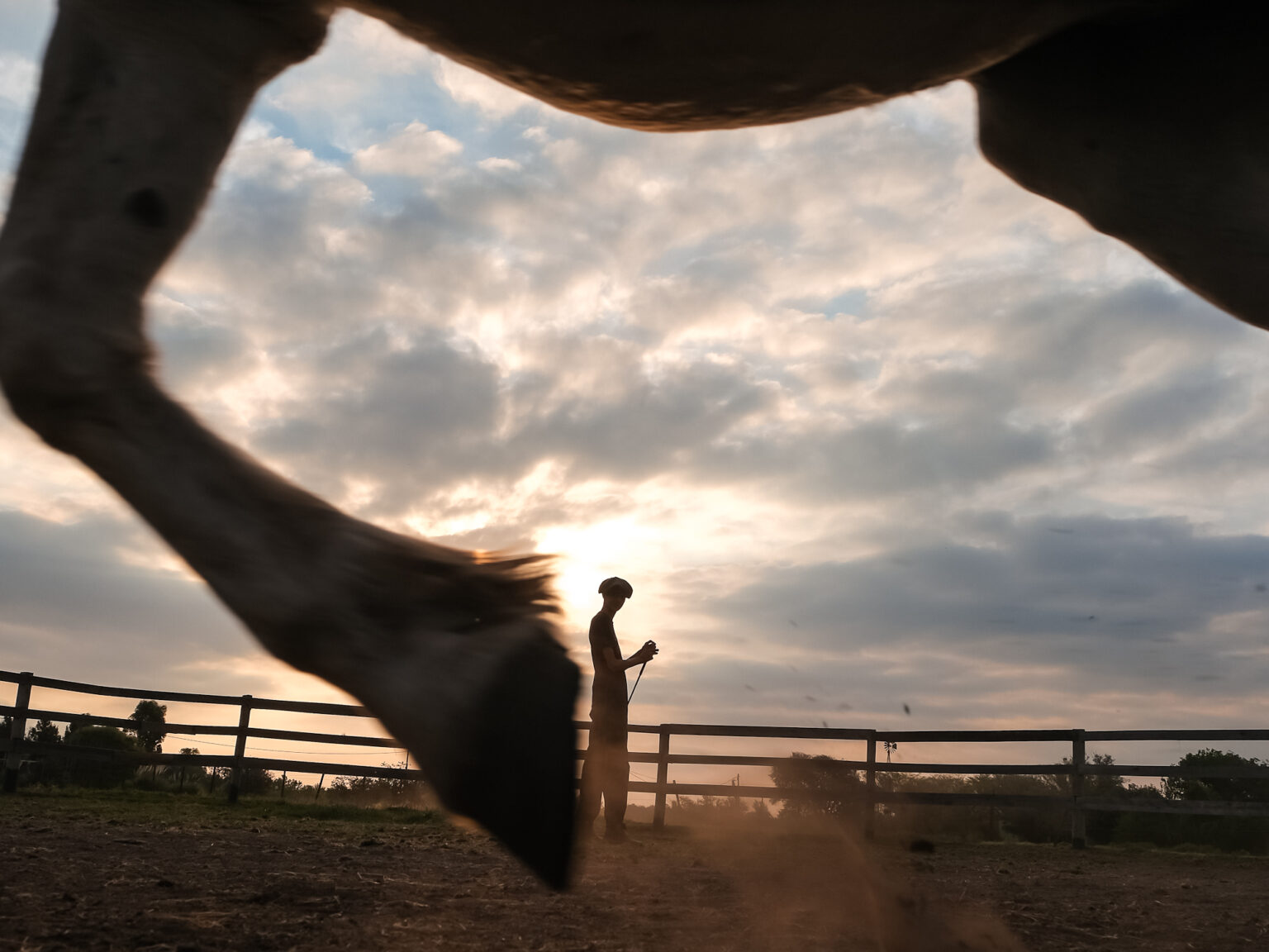Actividades con caballos en Magical Ranch - Jose Maria Piasentini